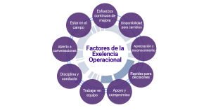 Descubra las Mejores Prácticas para la Excelencia Operacional