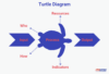 Turtle Diagram: what it is, what are its benefits and how to elaborate it