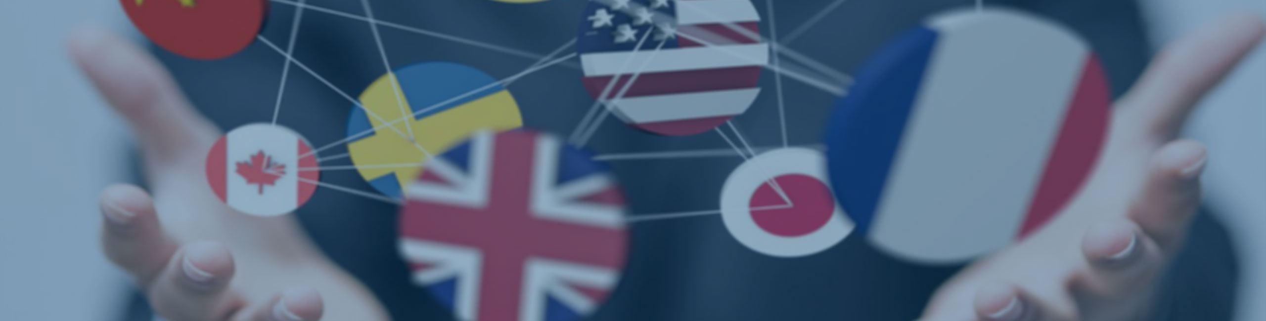 SoftExpert Suite gets support for new languages